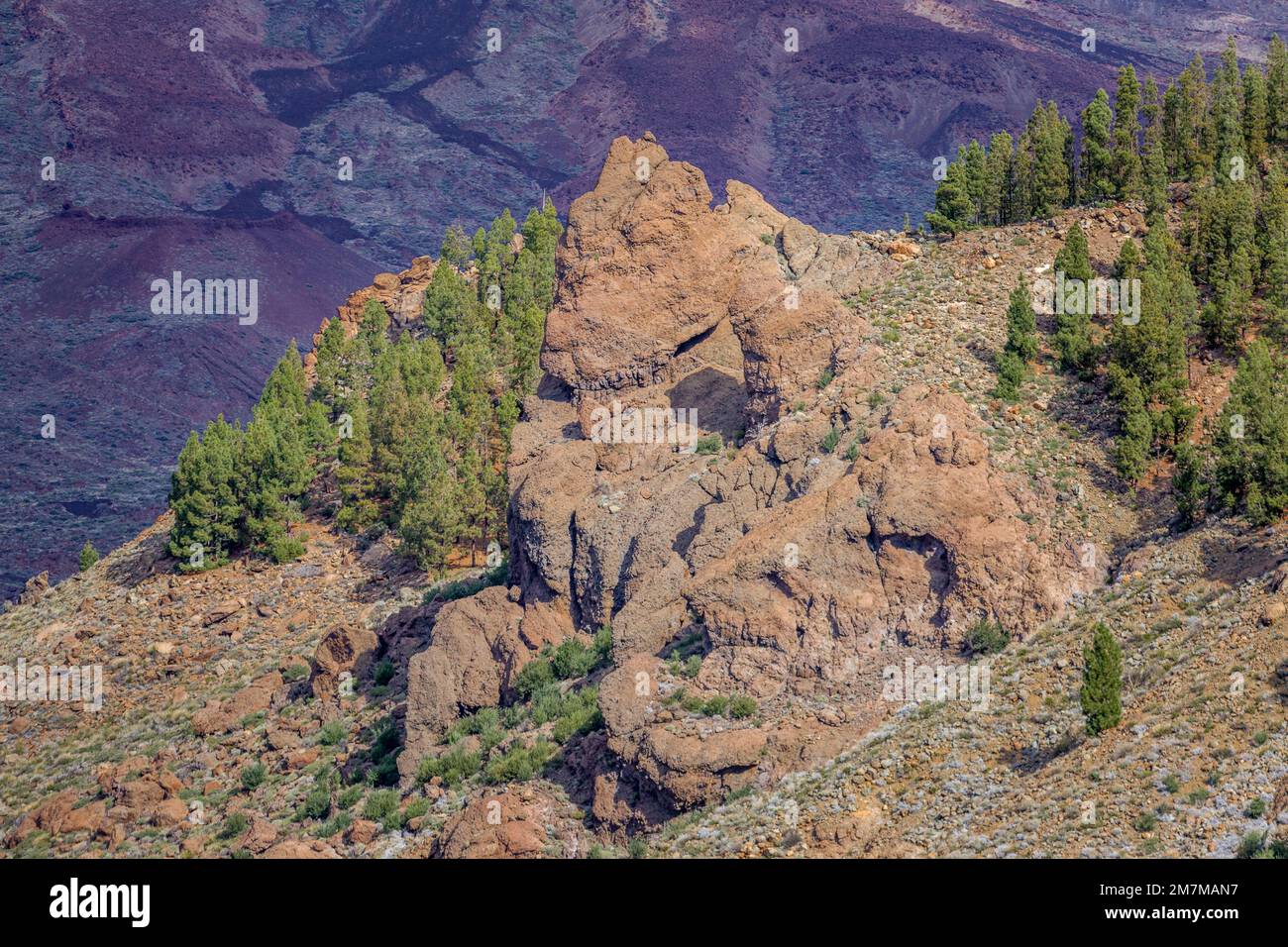 Brown and orange rock surrounded by green pine trees, with purple ...