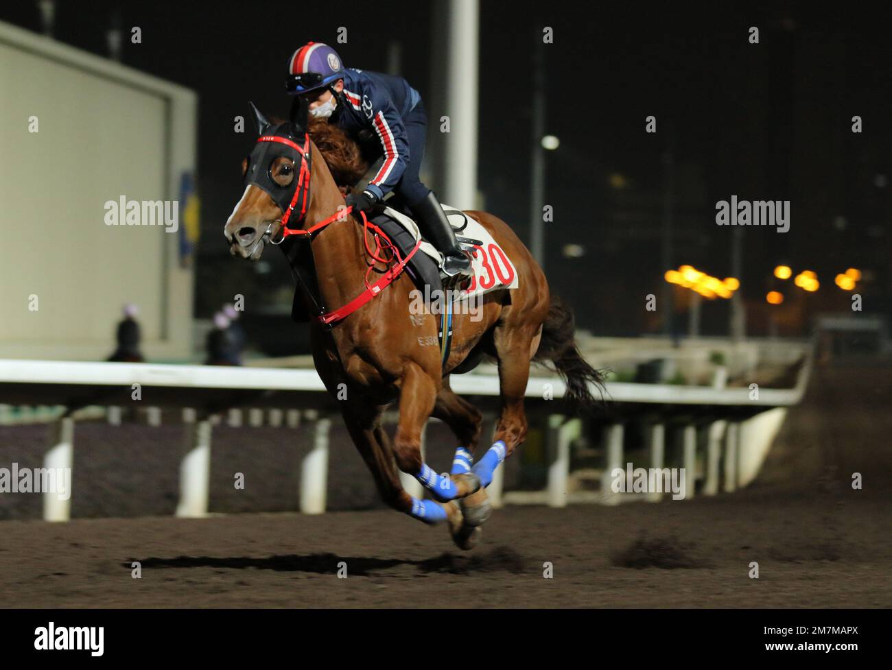 MASTER EIGHT (330) galloping on the all weather track at Sha Tin ...