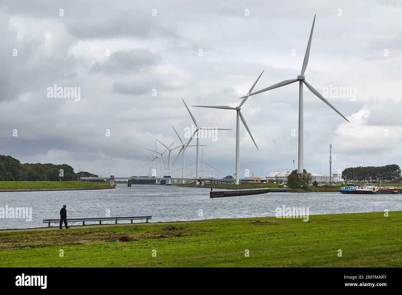 Wind tubines along the waterside Stock Photo - Alamy