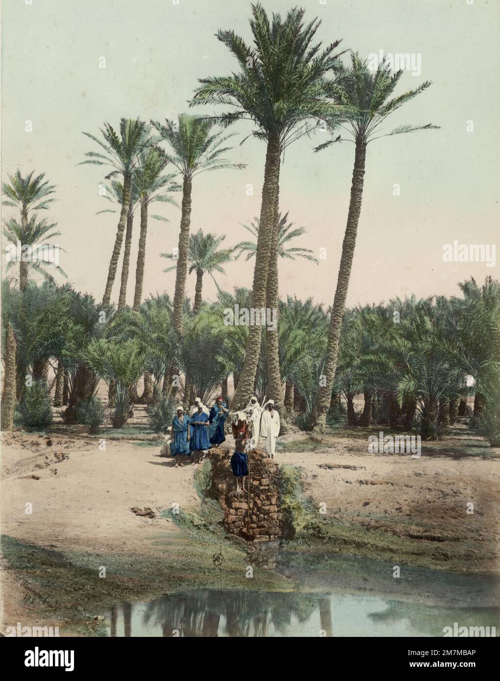 Wilhelm Hammerschmidt studio: Vintage 19th c. photo - date palms, road ...