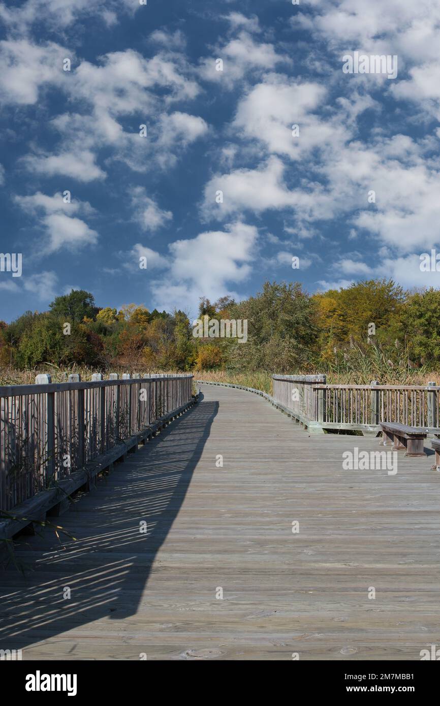 A raised, curved, wood, walking platform through wetlands leading to a ...