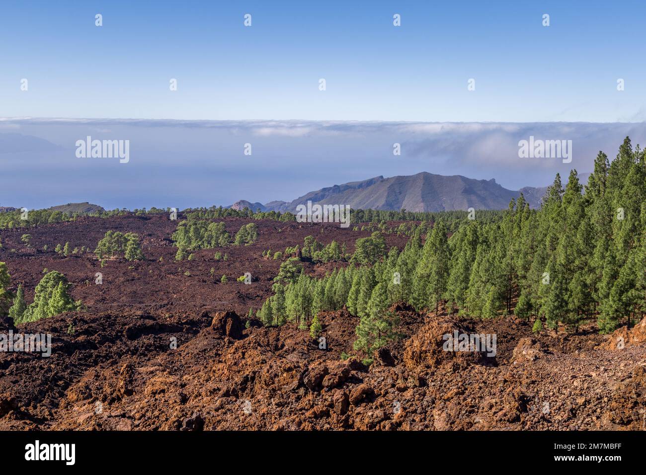 Brown and orange volcanic landscape with igneous rocks and green trees ...
