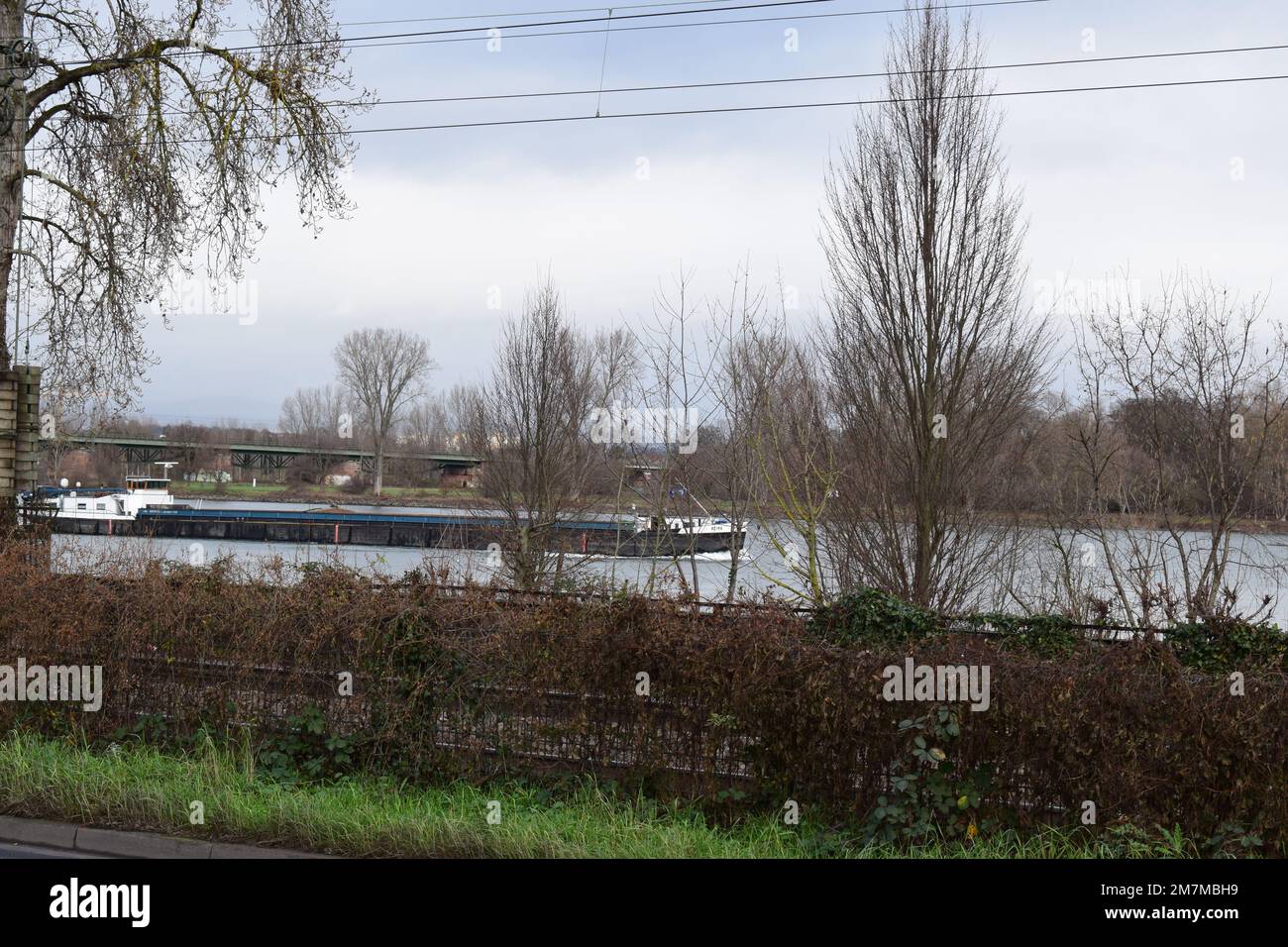 Mainz weisenau hi-res stock photography and images - Alamy