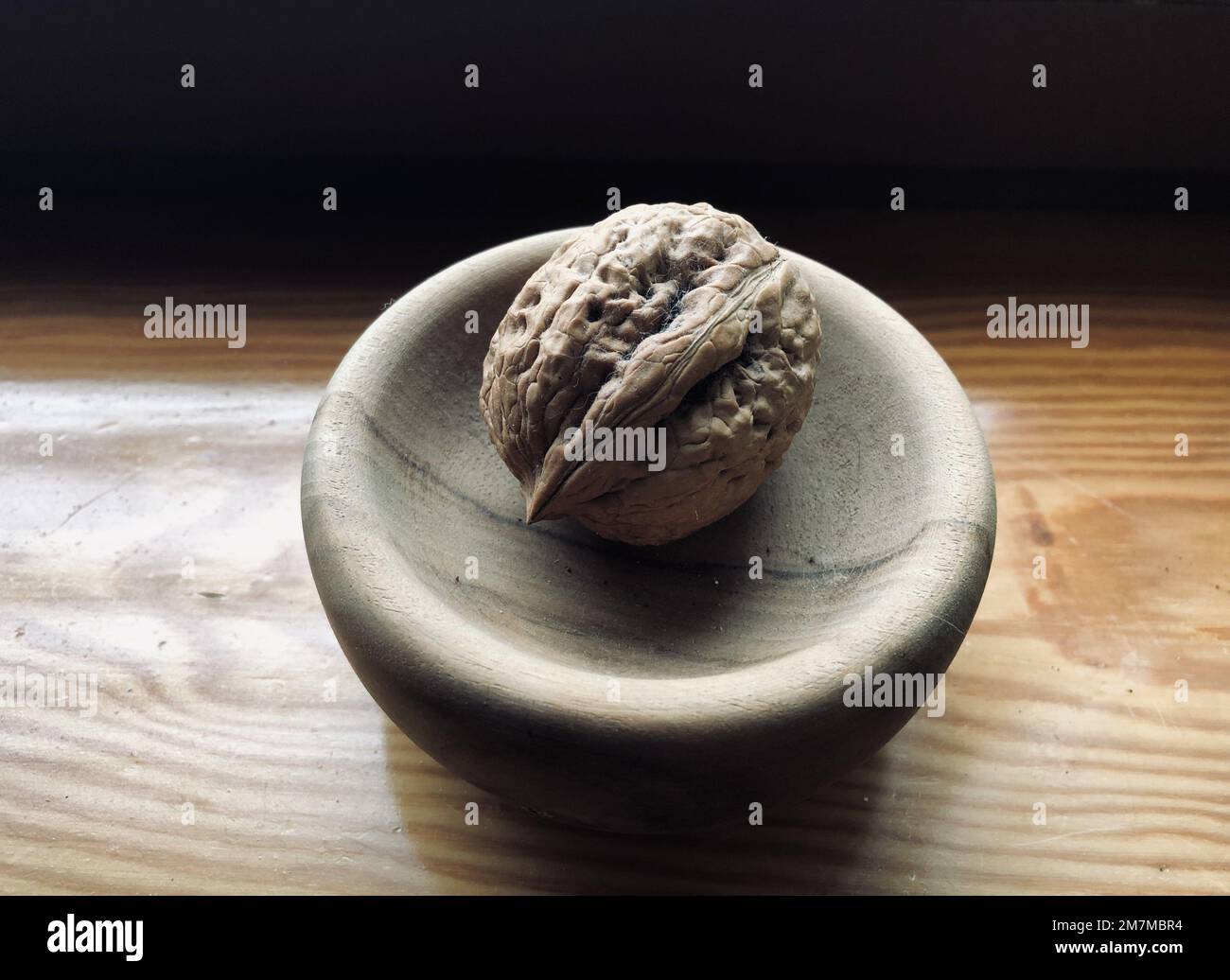 Big walnut hi-res stock photography and images - Alamy