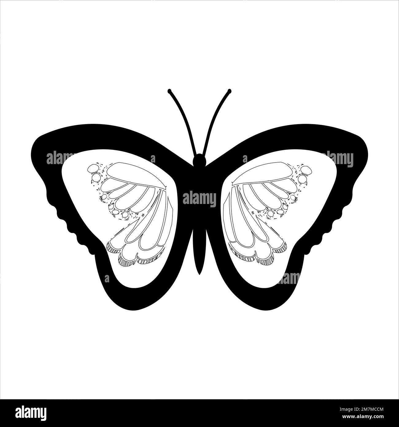 Butterfly set graphic black white isolated sketch illustration vector ...