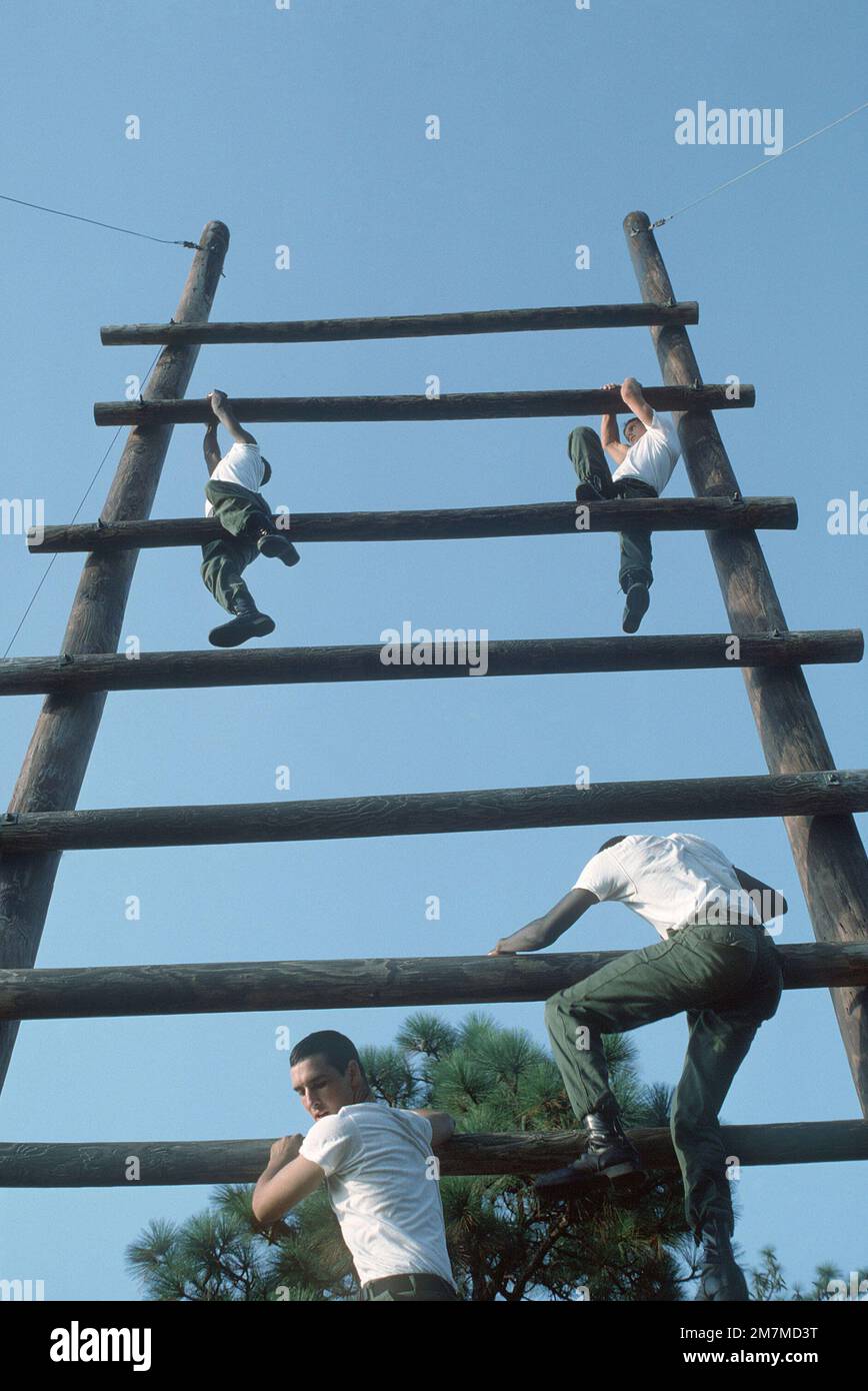 US Army recruits climb a ladder on the obstacle course. Country ...