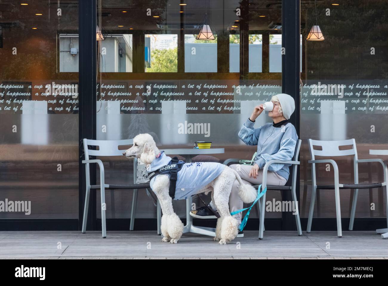 Lady with poodle sitting outside coffee shop hi-res stock photography ...