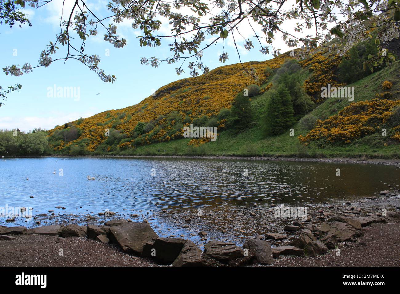 Beautiful scenery in Holyrood Park and Meadows, Edinburgh, Scotland ...