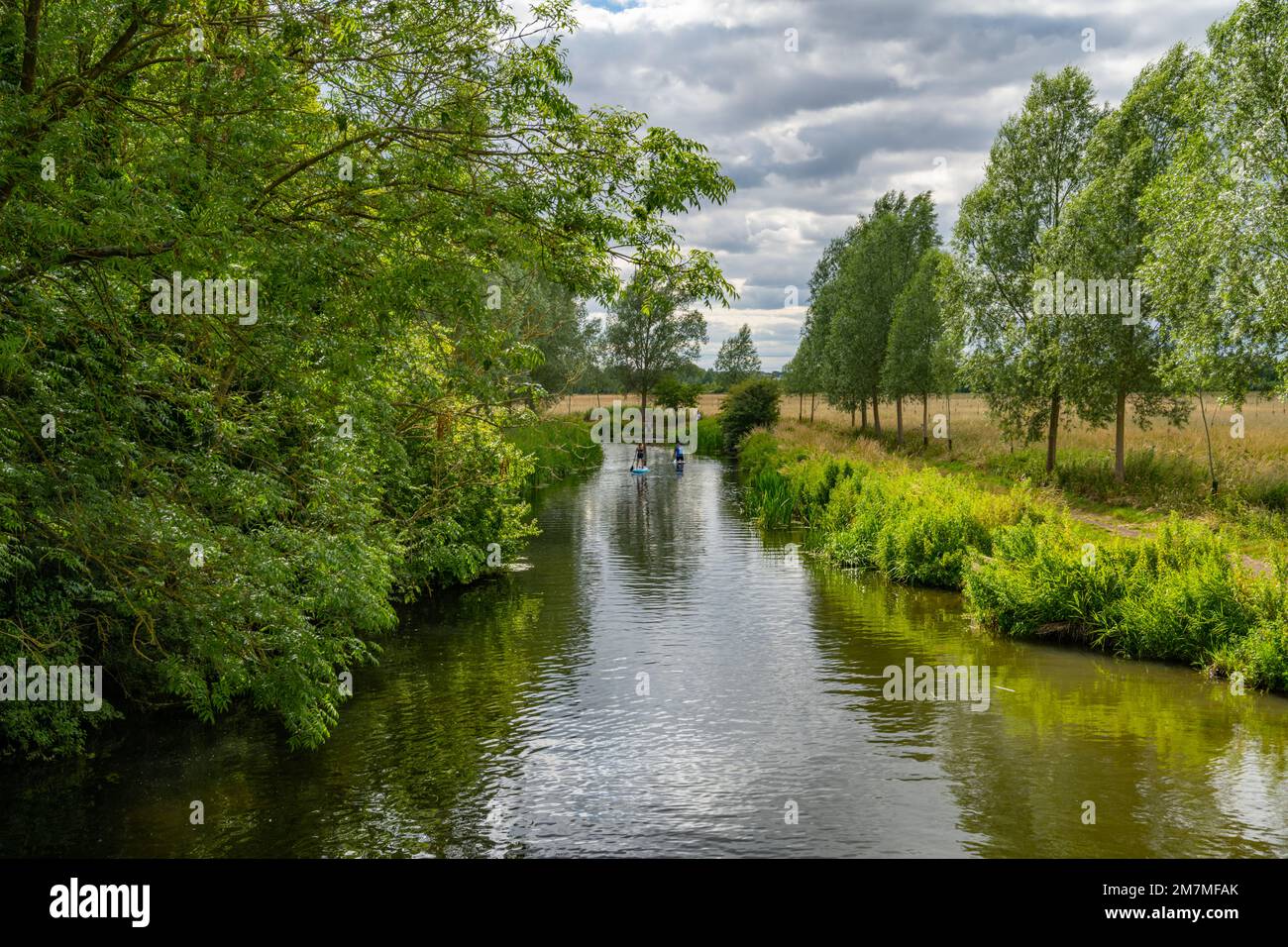 Paddleboardes on the river Chelmer near Little Baddow Essex Stock Photo ...
