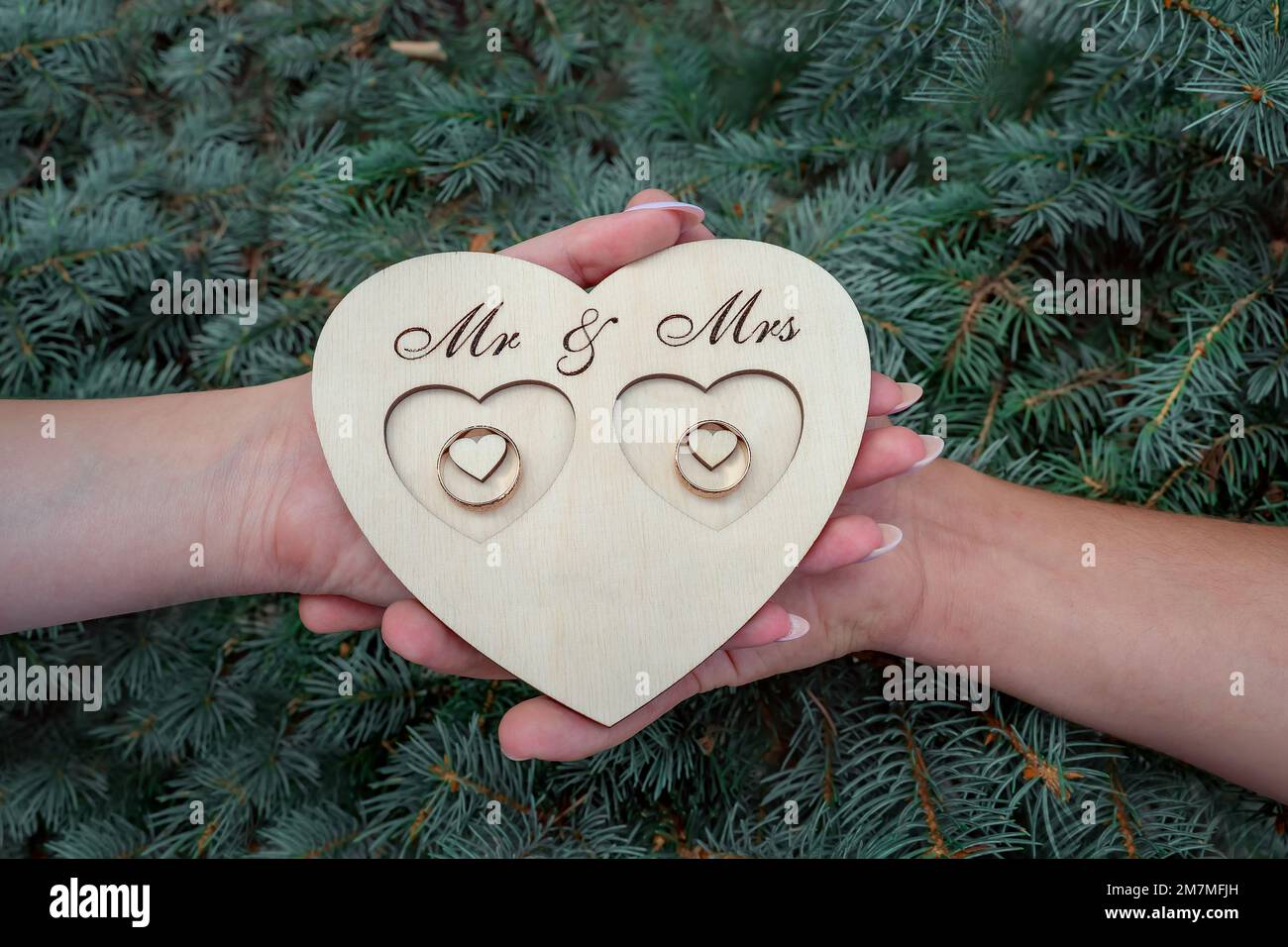 The bride and the groom are holding a ring stand in their hands - made ...