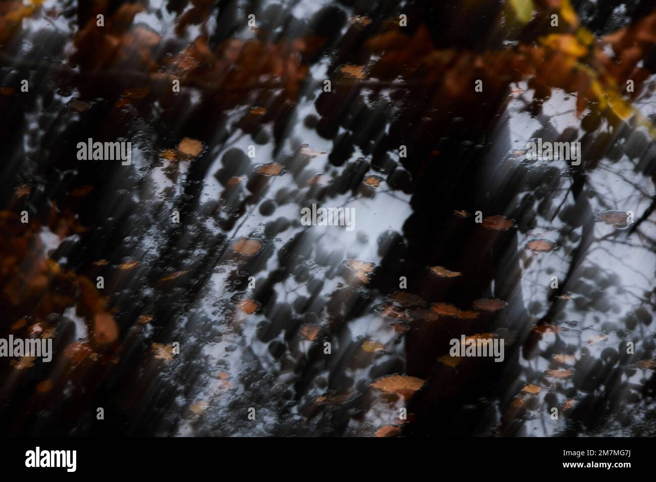 abstract reflection of autumn leaves in water in a forest Stock Photo ...