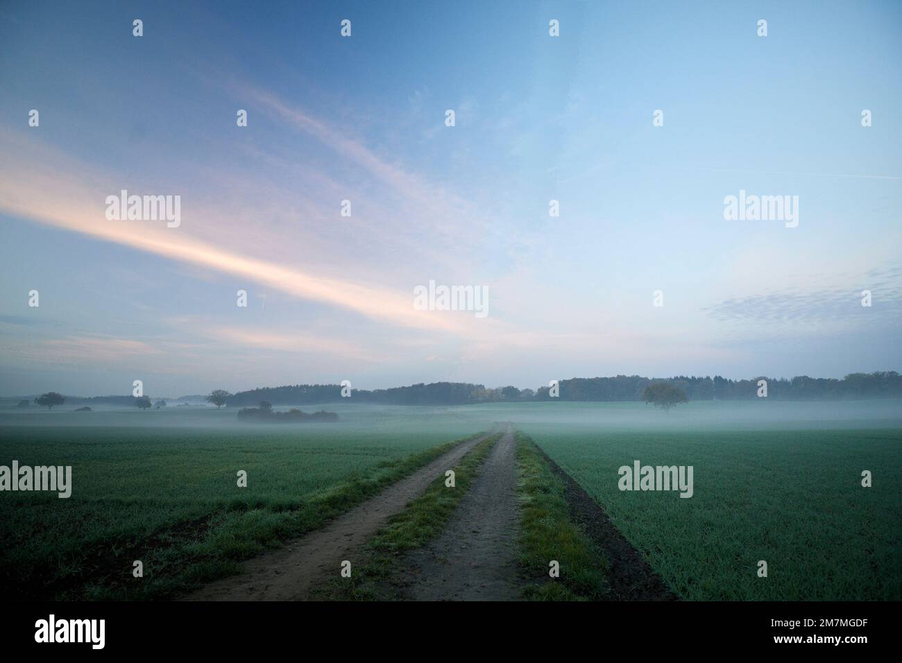 Dirt road on farm hi-res stock photography and images - Alamy