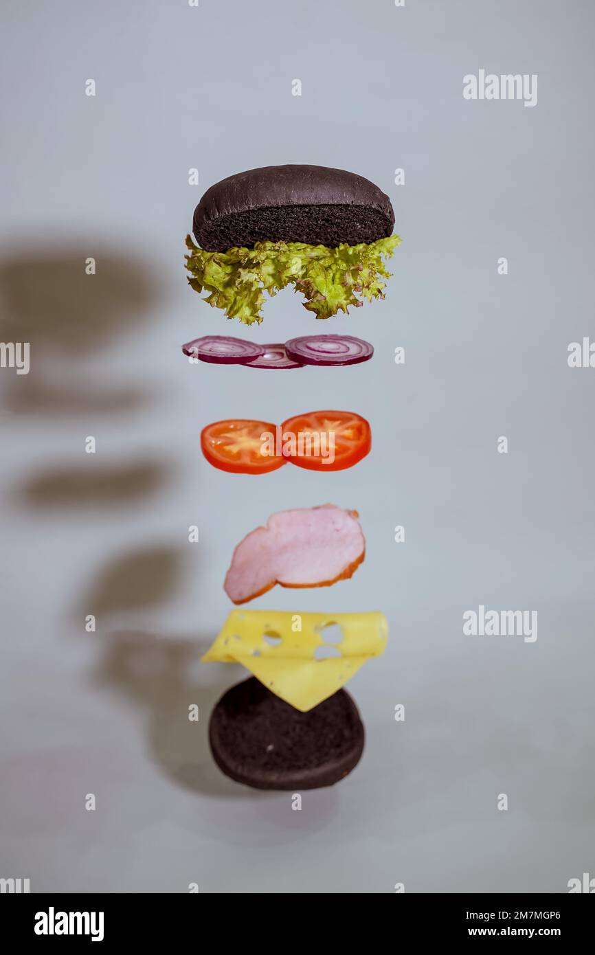 Flying hamburger divided into components - tomato, onion, cheese ...