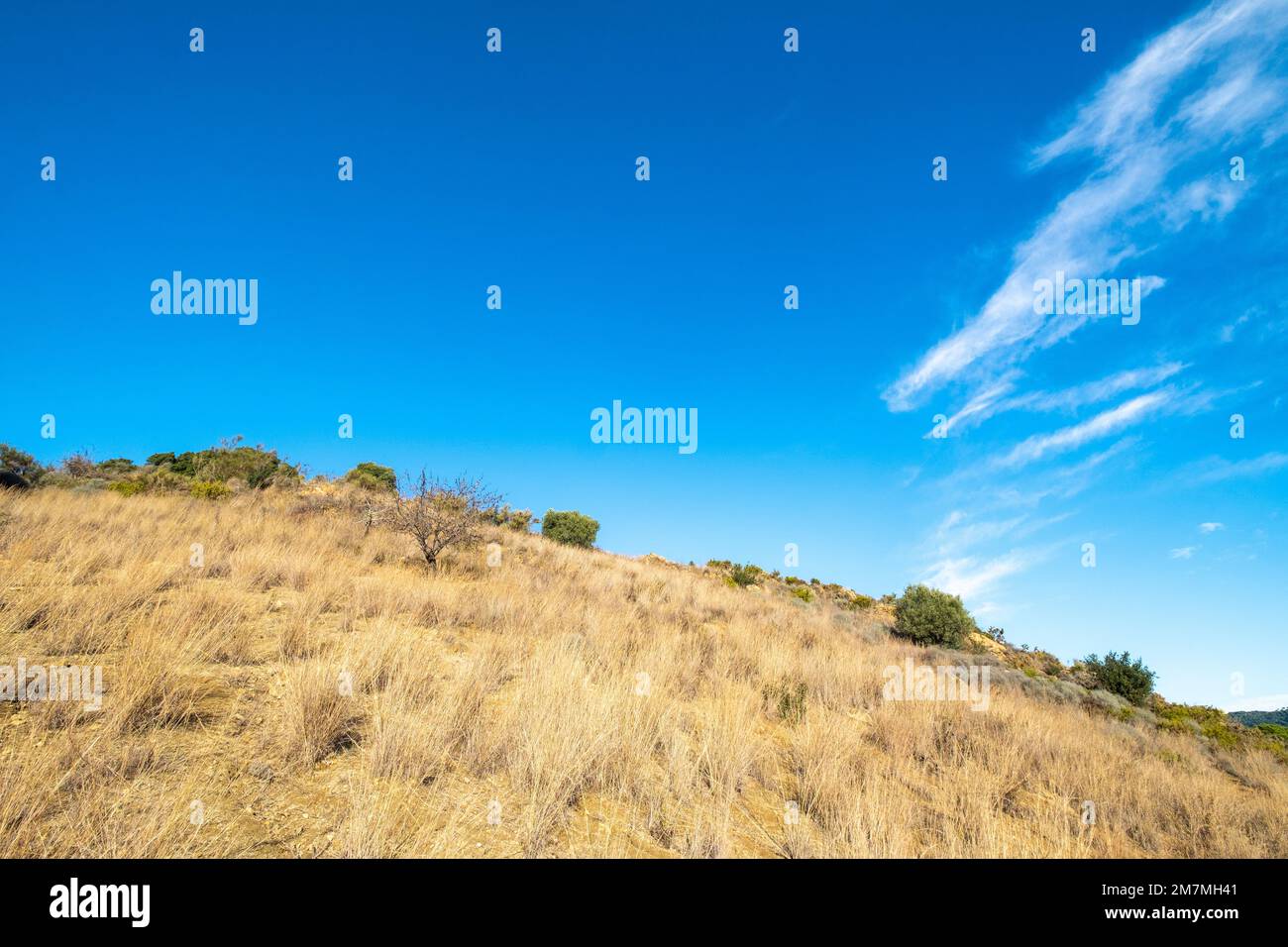 Natural landscape and blue sky with clouds Stock Photo - Alamy