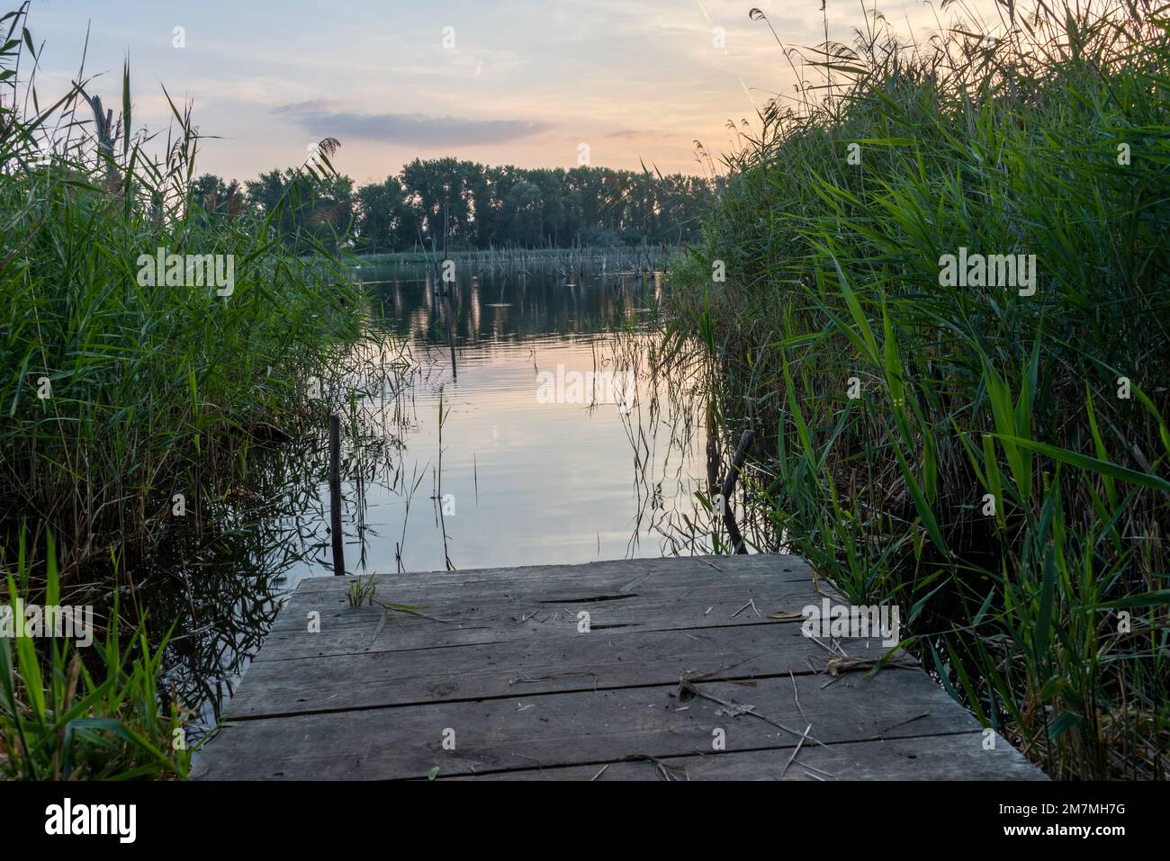 Nature reserve in salzlandkreis hi-res stock photography and images - Alamy