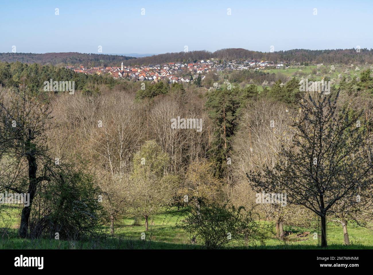 Europe, Germany, Southern Germany, Baden-Wuerttemberg, Schönbuch region ...