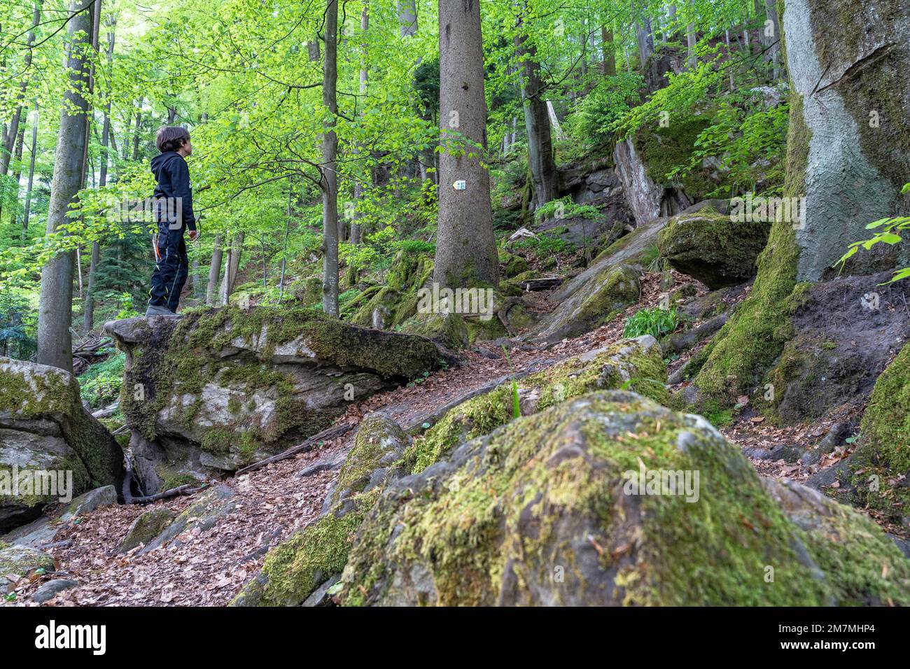 Europe, Germany, Southern Germany, Baden-Wuerttemberg, Rems-Murr ...