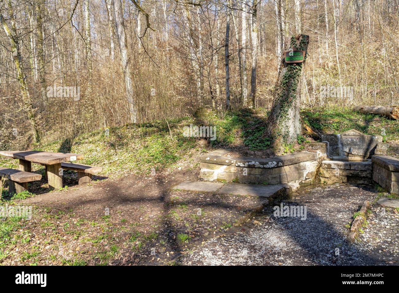Fountain at a resting place in the forest hi-res stock photography and ...