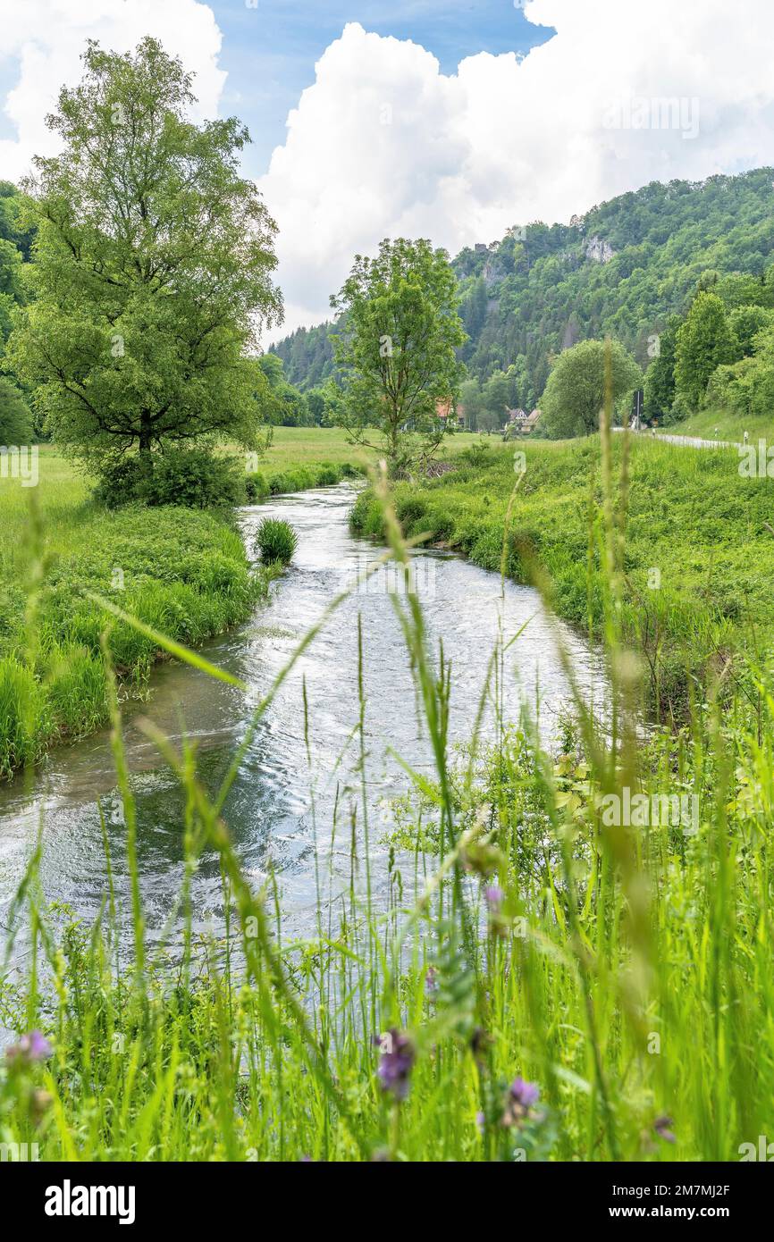 River lauter in the great lauter valley hi-res stock photography and ...