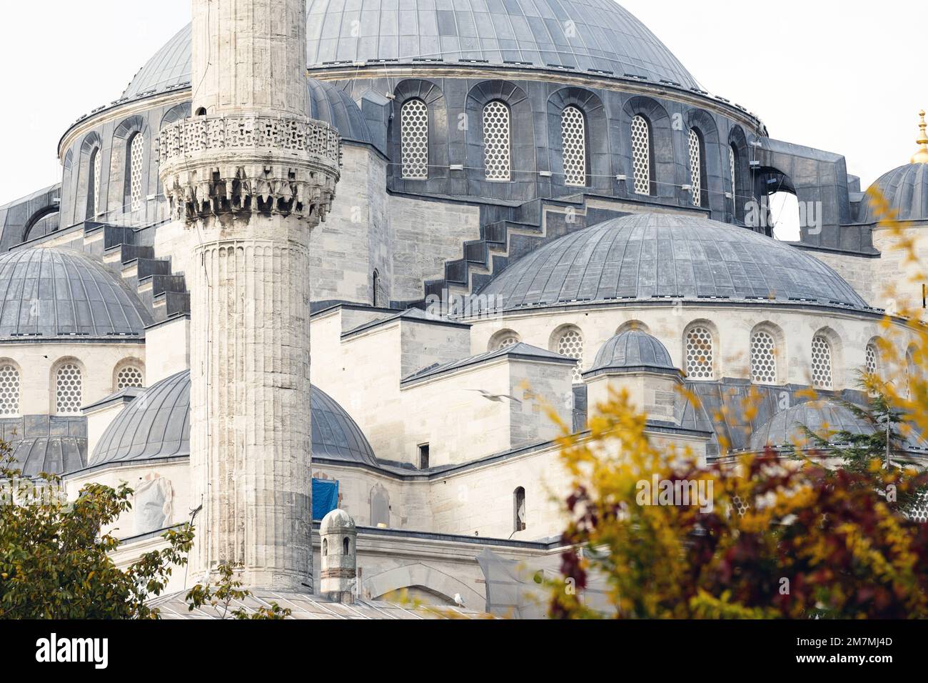 Stunning view of the Sultan Ahmed Mosque or Blue Mosque during a ...