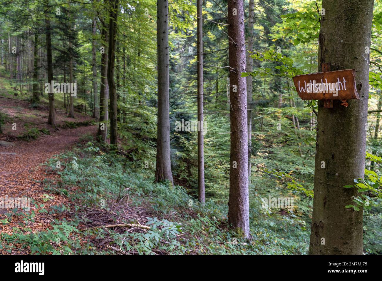 Wooden sign on the way to the wolf gorge hi-res stock photography and ...