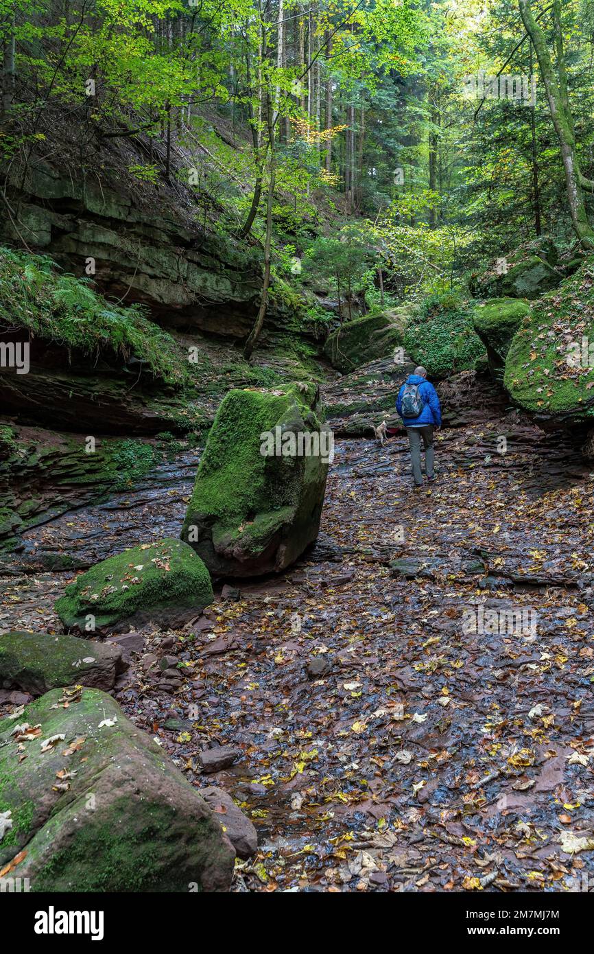 Europe, Germany, Southern Germany, Baden-Wuerttemberg, Black Forest ...