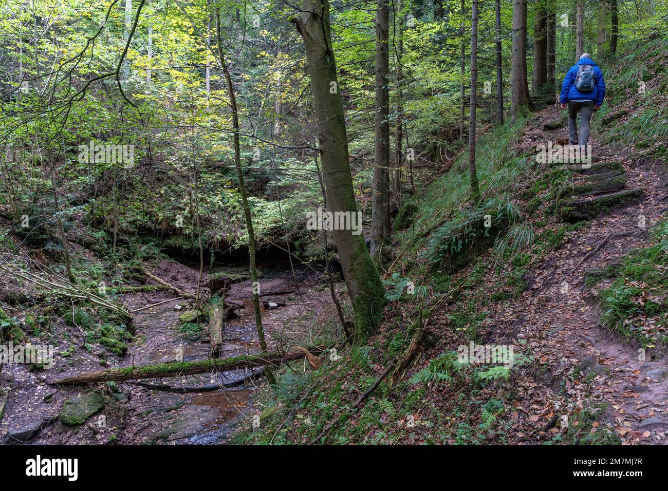 Europe, Germany, Southern Germany, Baden-Wuerttemberg, Black Forest ...