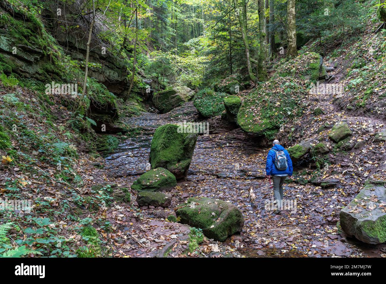 Europe, Germany, Southern Germany, Baden-Wuerttemberg, Black Forest ...