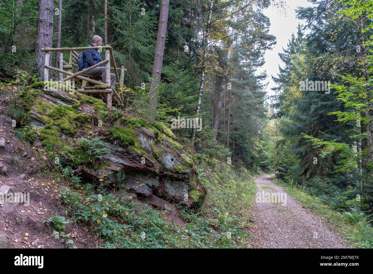 Hiker on a rest bench above the forest path hi-res stock photography ...