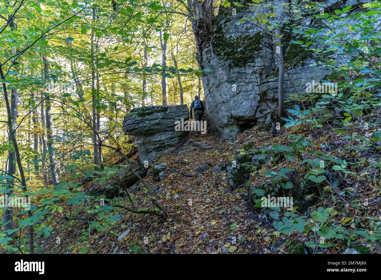 Hiker in mountain forest at breitenstein hi-res stock photography and ...