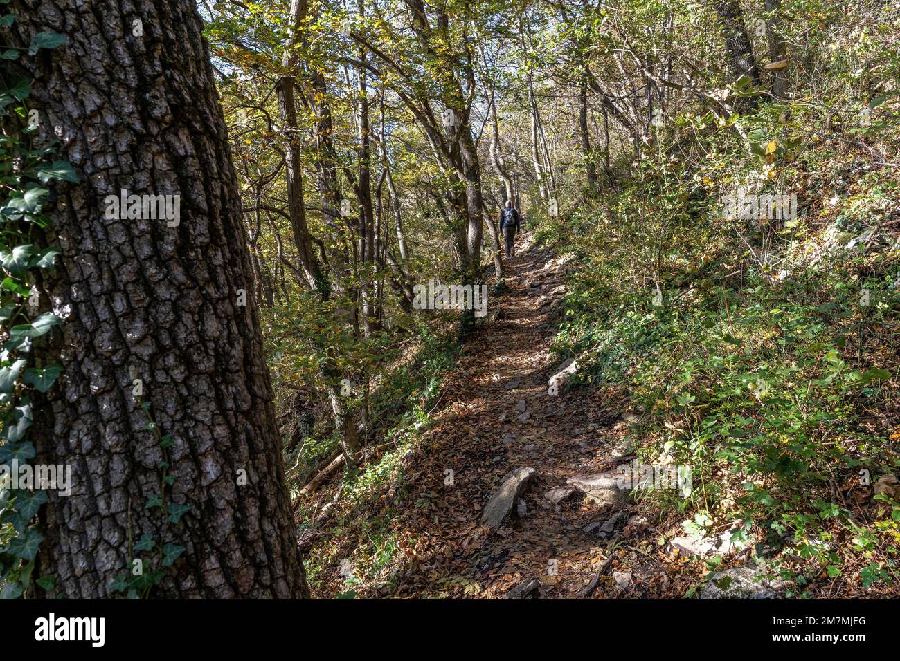 Biosphere region swabian alb hi-res stock photography and images - Alamy