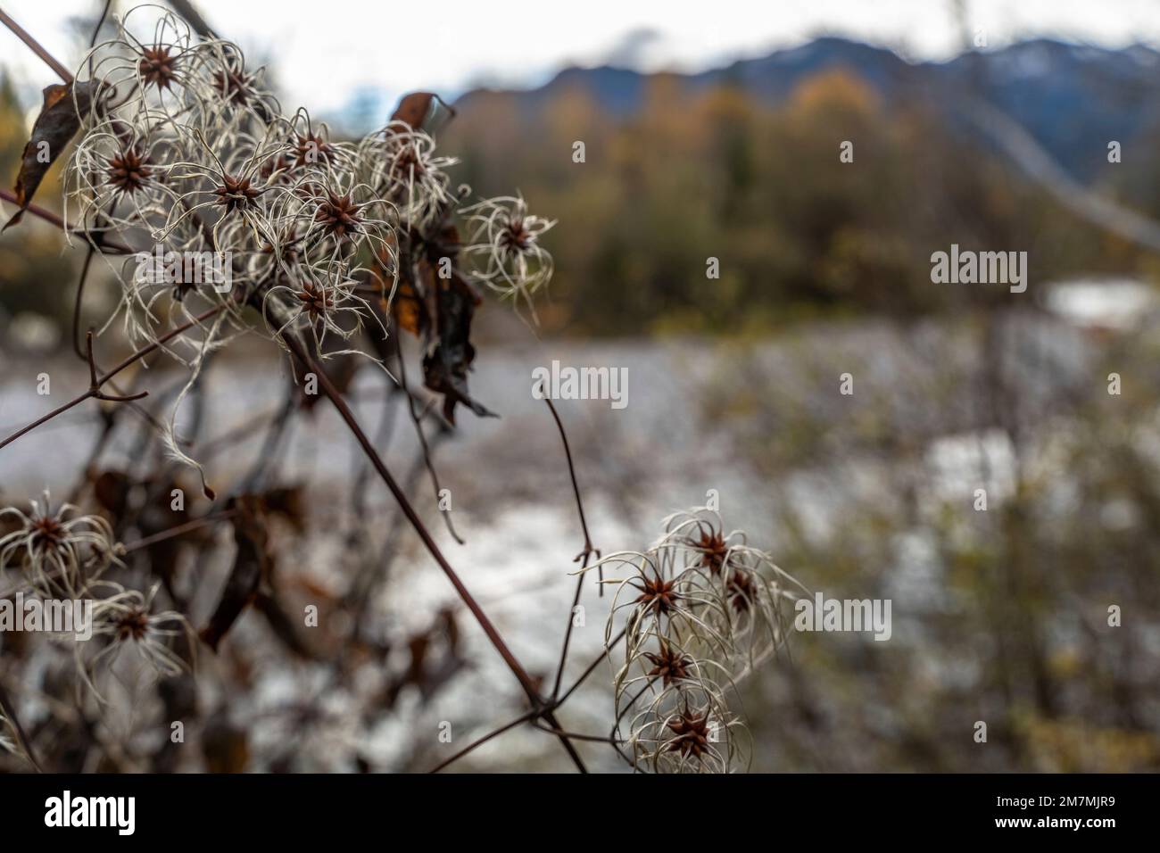 Europe, Germany, Southern Germany, Bavaria, Upper Bavaria, Bavarian ...