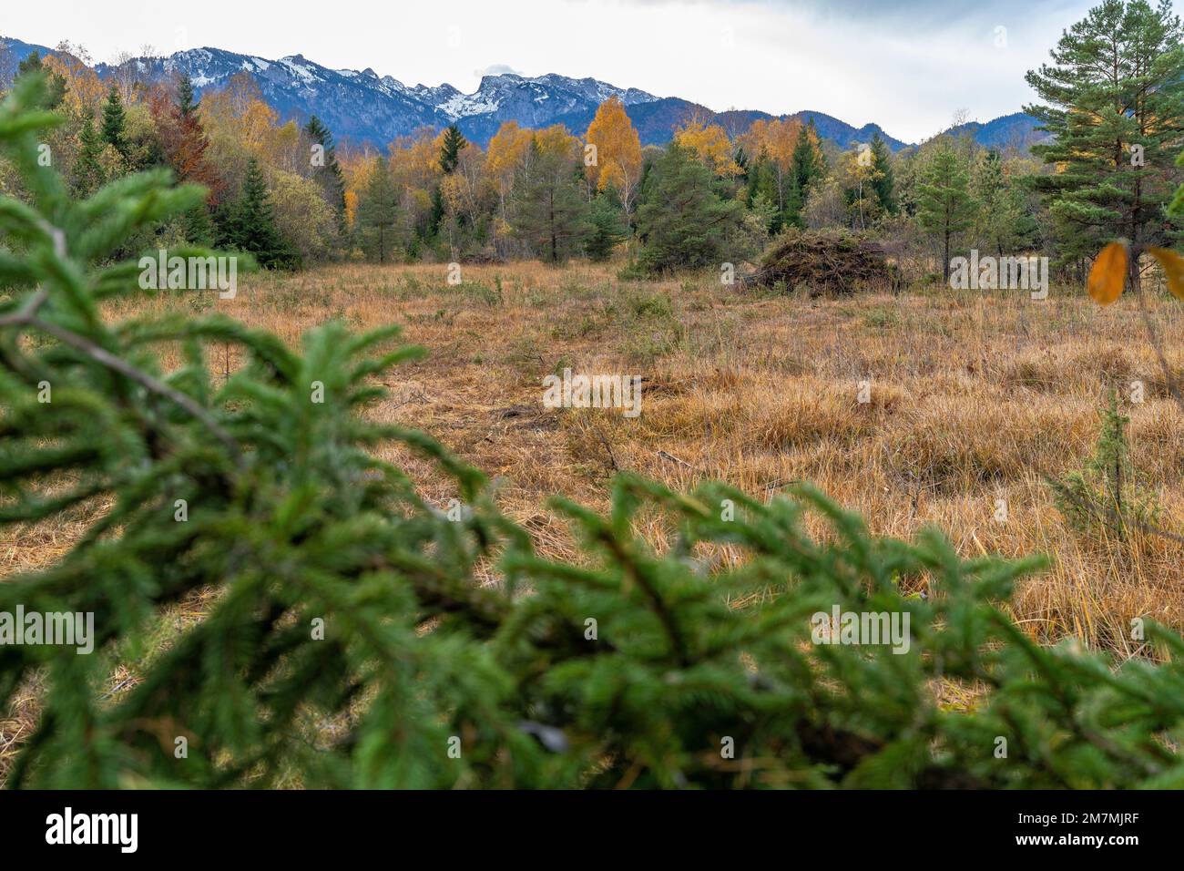 Europe, Germany, Southern Germany, Bavaria, Upper Bavaria, Bavarian ...