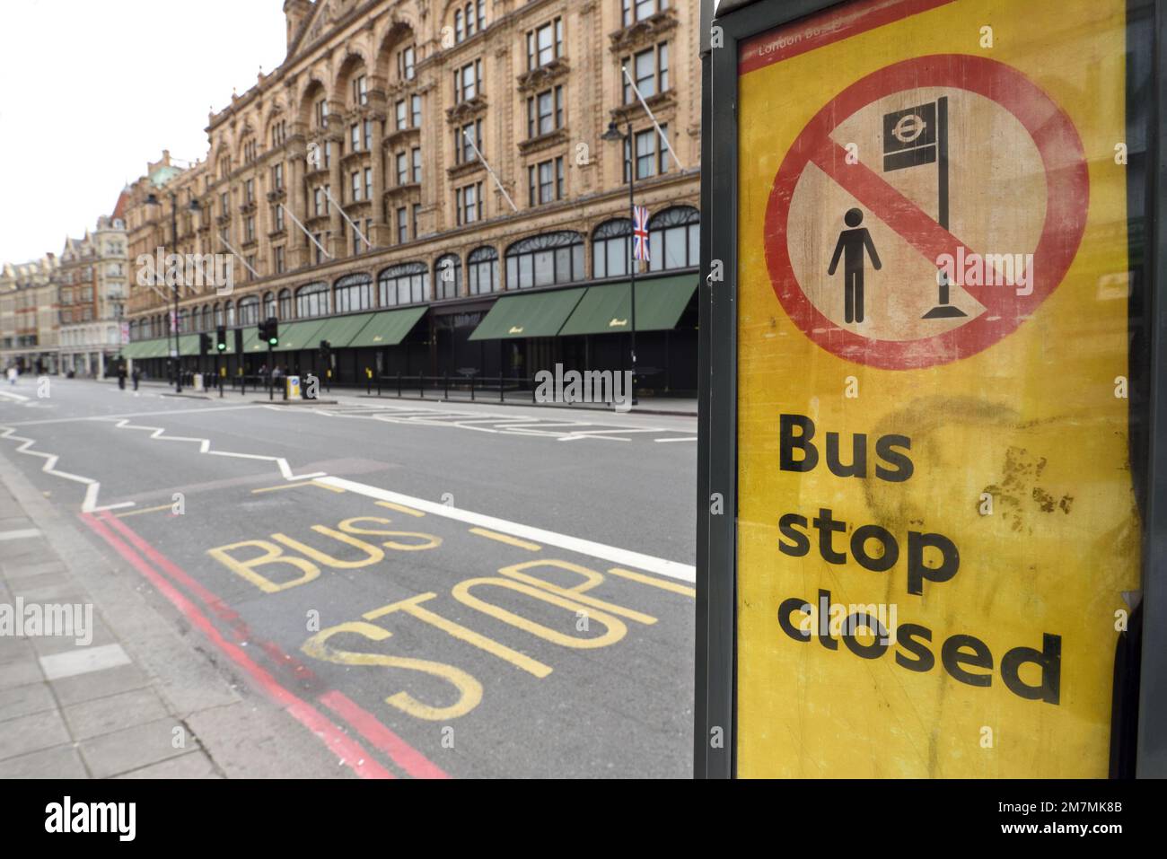 London, England, UK. Bus Stop Closed opposite Harrods department stor ...