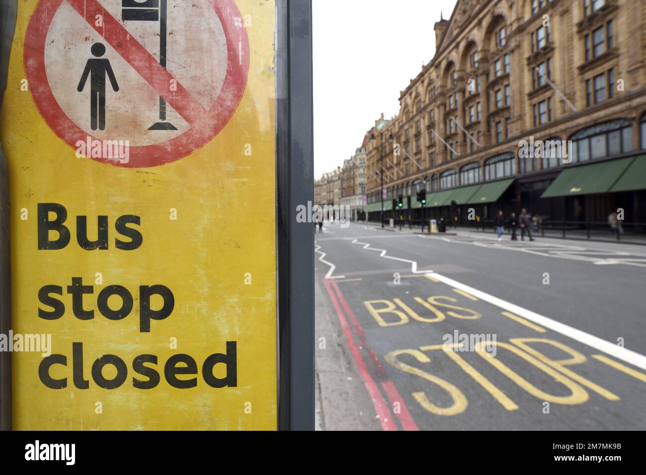 London, England, UK. Bus Stop Closed opposite Harrods department stor ...