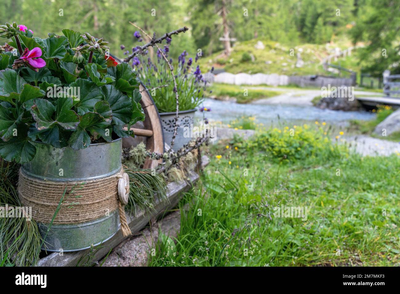 Tiefental alp hi-res stock photography and images - Alamy