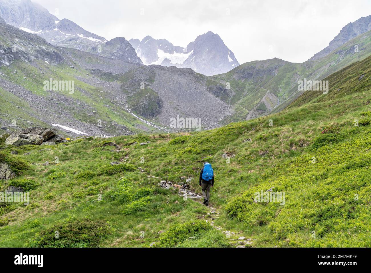 Europe, Austria, Tyrol, Alps, Eastern Alps, Ötztal Alps, Pitztal, hiker ...