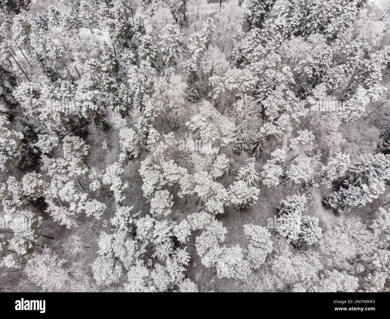 Europe, Germany, Southern Germany, Baden-Württemberg, Schönbuch region ...