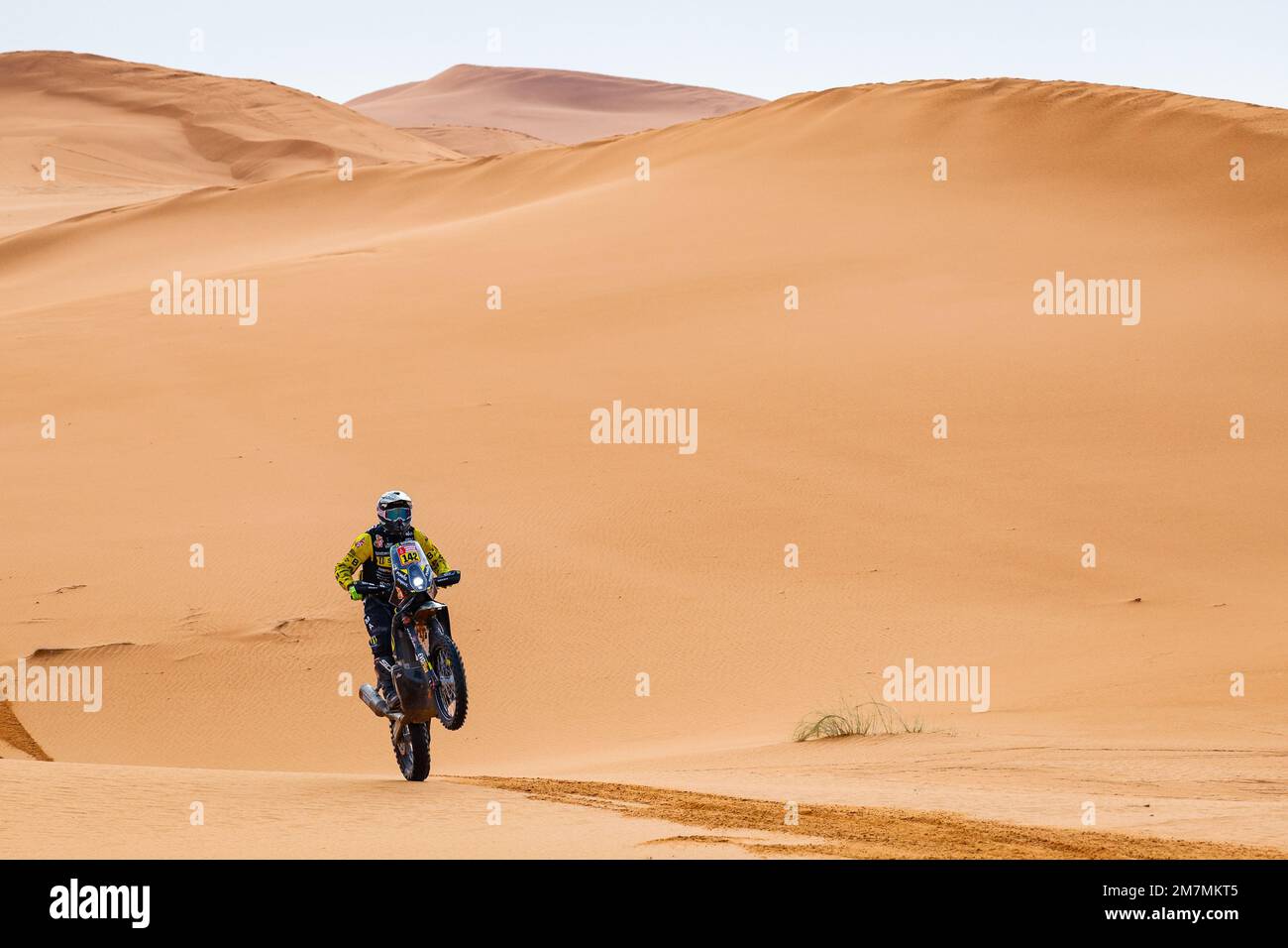 142 SVITKO Stevan (svk), Slovnaft Rally Team, KTM, Moto, action during ...