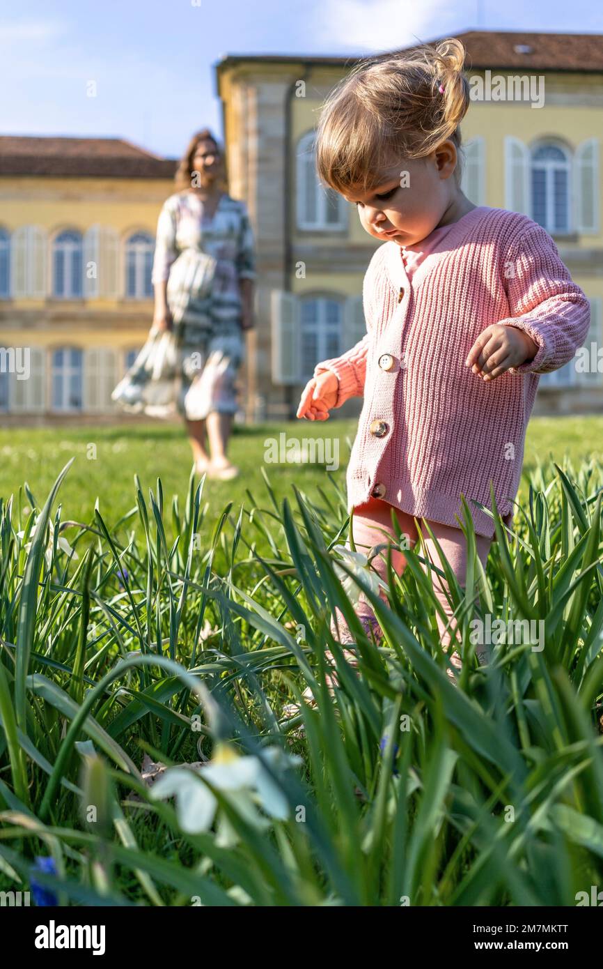 Europe, Germany, Baden-Wuerttemberg, Stuttgart, Hohenheim castle ...