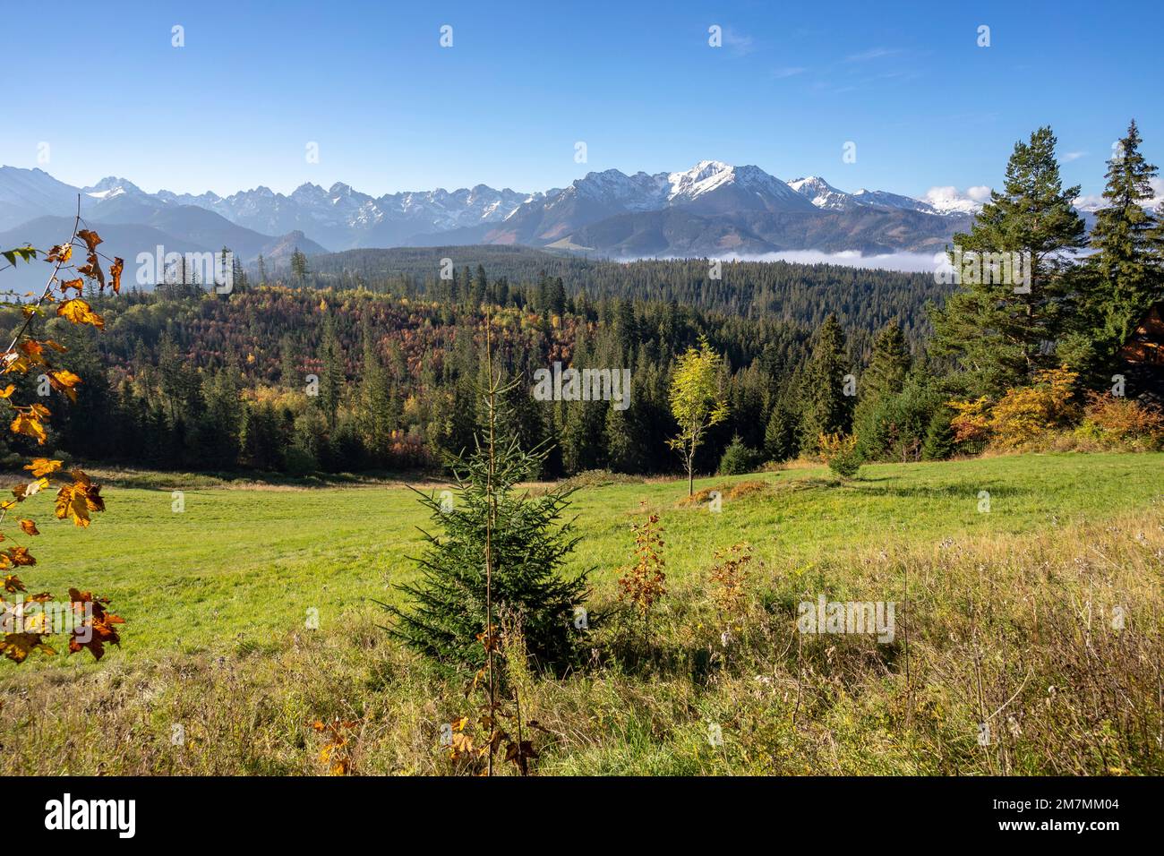 Bukowina landscape hi-res stock photography and images - Alamy
