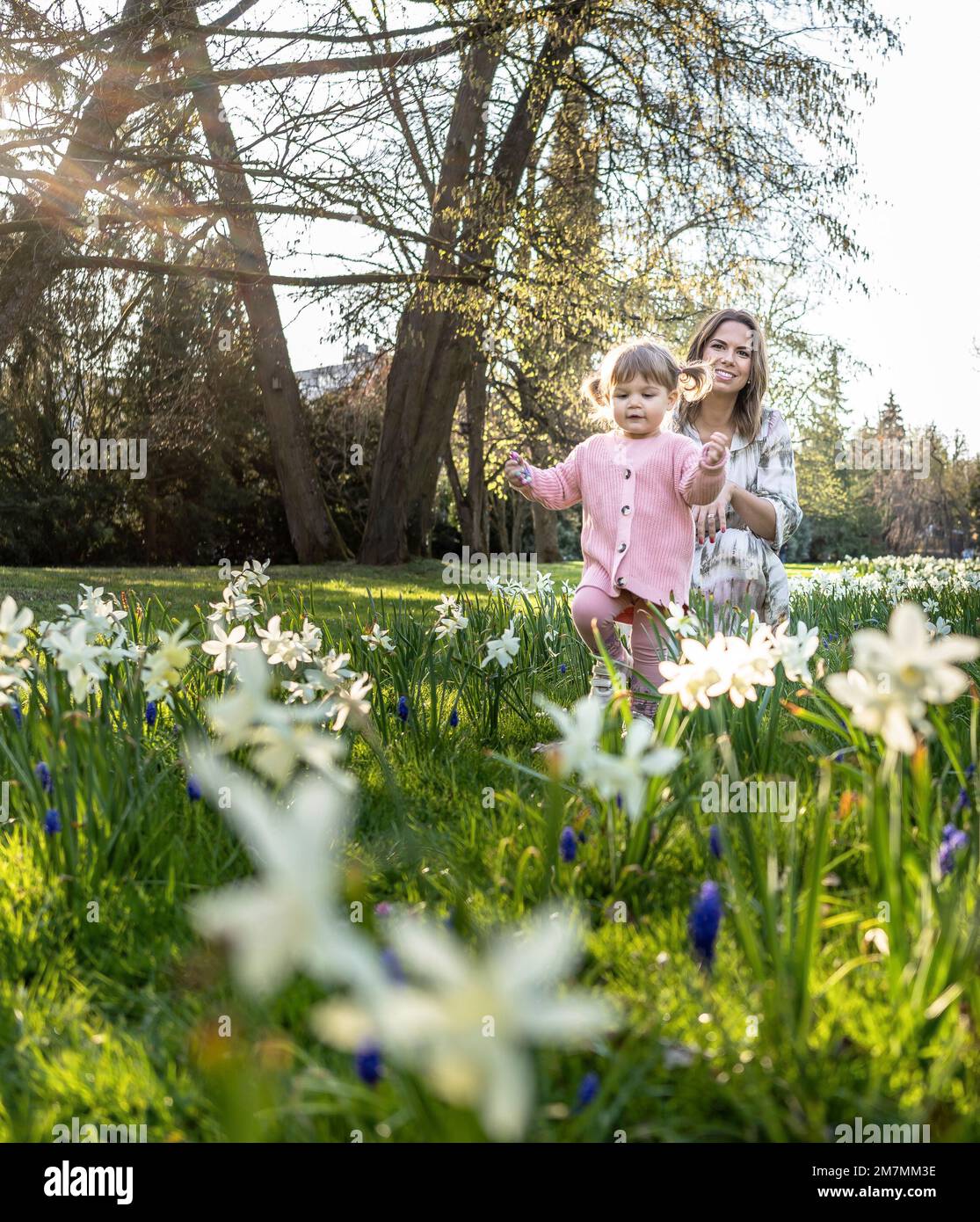 Europe, Germany, Baden-Wuerttemberg, Stuttgart, Hohenheim Castle ...