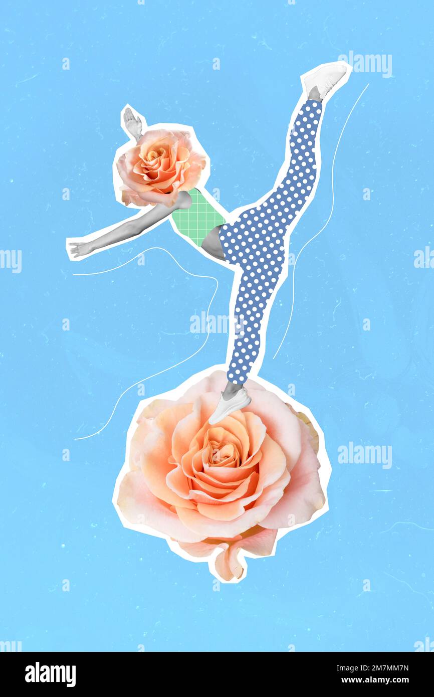 Composite creative poster collage photo of young headless flower rose ...