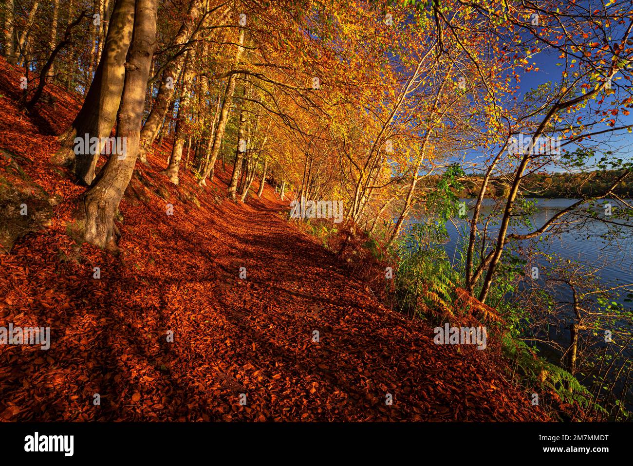 Hellbach valley at the gland lake hi-res stock photography and images ...