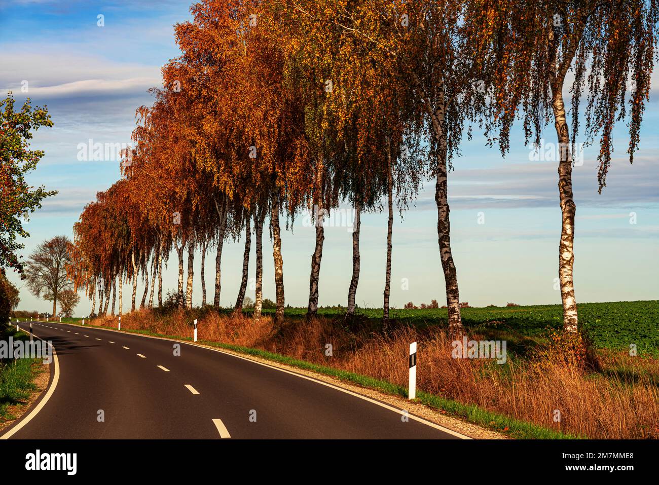 Sterley duchy of lauenburg county hi-res stock photography and images ...