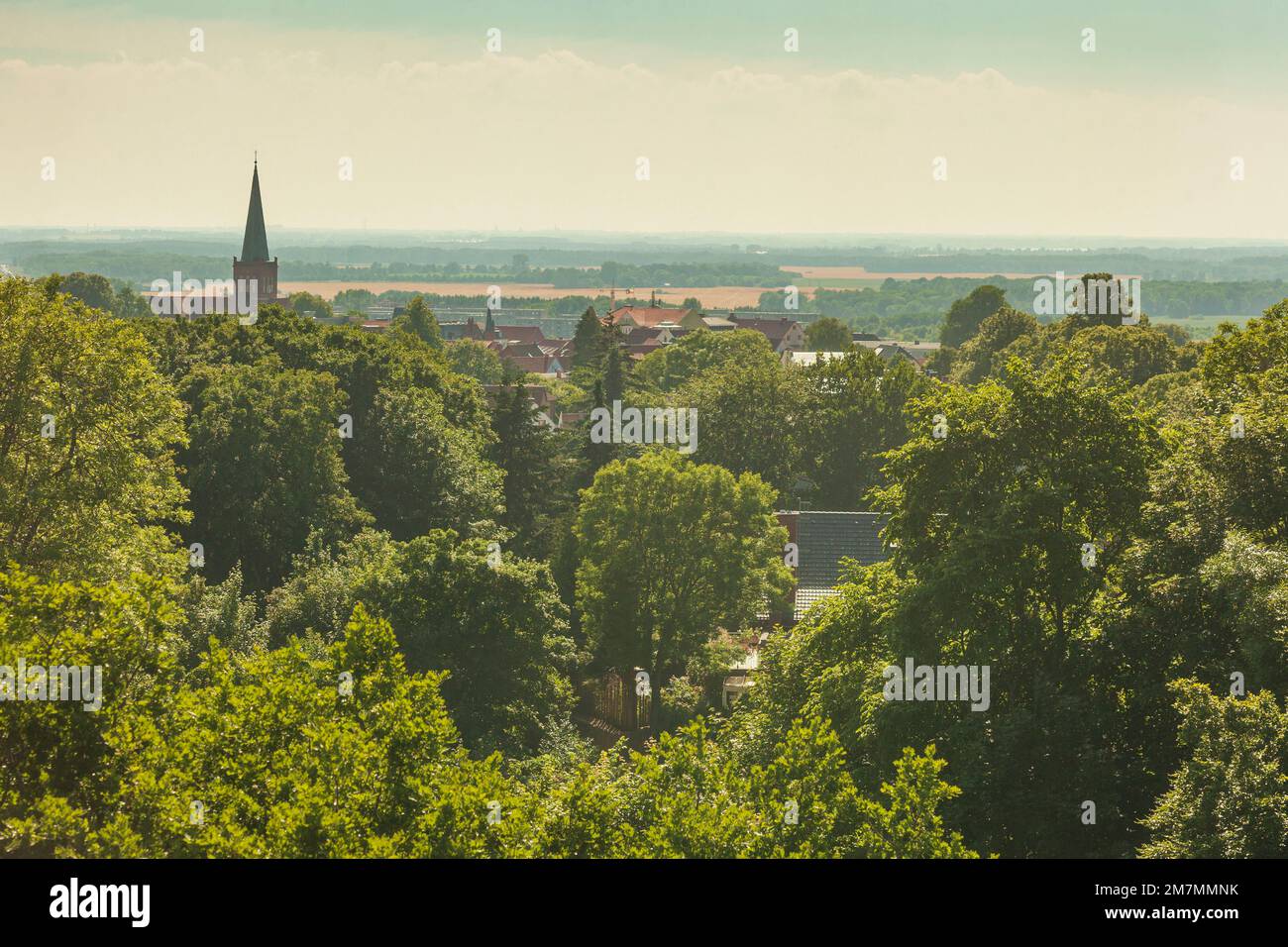 View from Ernst-Moritz-Arndt-Tower to Bergen with St. Mary's Church ...