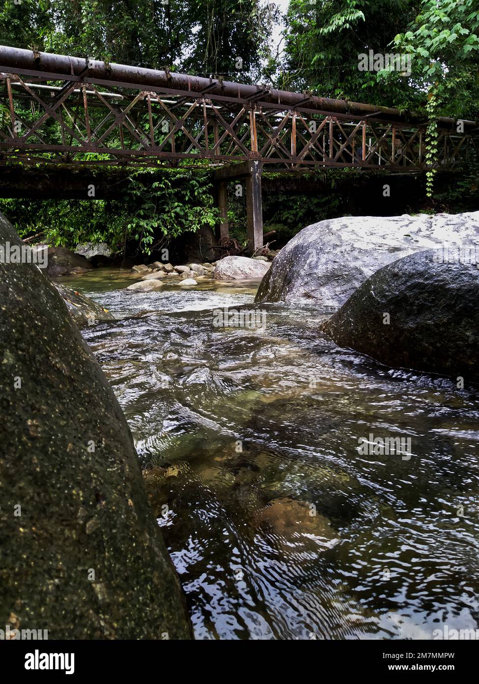 A river located in Perak, Malaysia Stock Photo - Alamy
