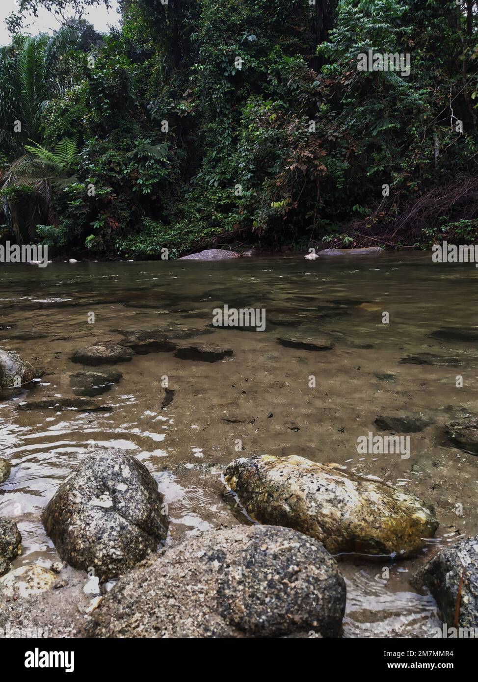 A river located in Perak, Malaysia Stock Photo - Alamy