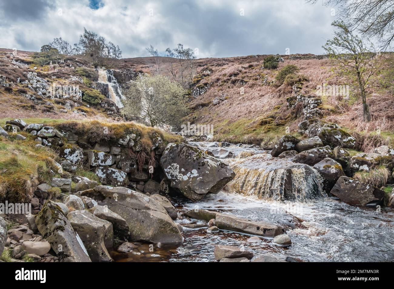 Blea Beck Force Waterfall, Teesdale in spring sushine, as seen from the ...