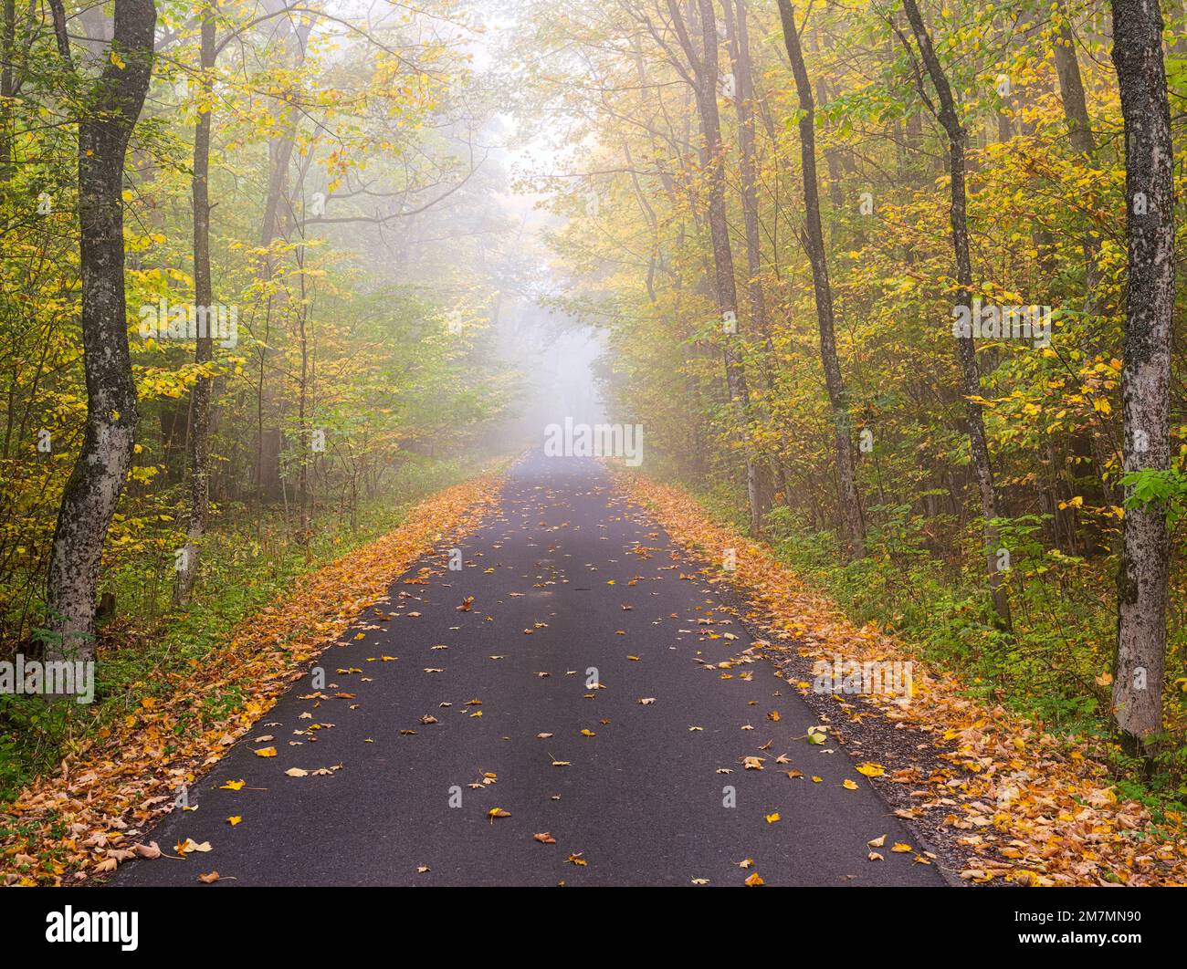 Europe, Germany, Bavaria, UNESCO Biosphere Reserve Rhön, Bavarian Rhön ...